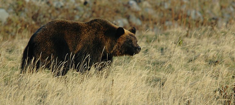旭岳ビジターセンター
