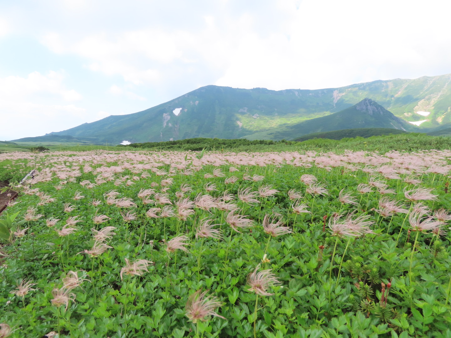 Asahidake in Summer | Asahidake Visitor Center